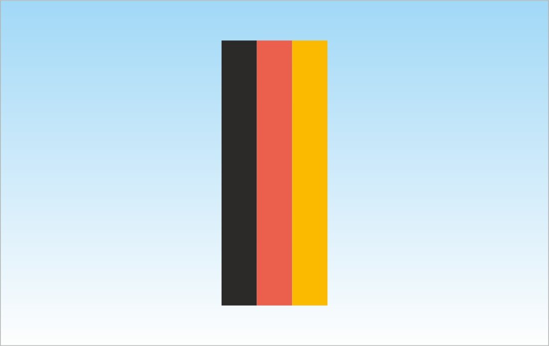 Country flag National flag Hißhoch Germany 120 x 300 cm Euroflag 115g ...