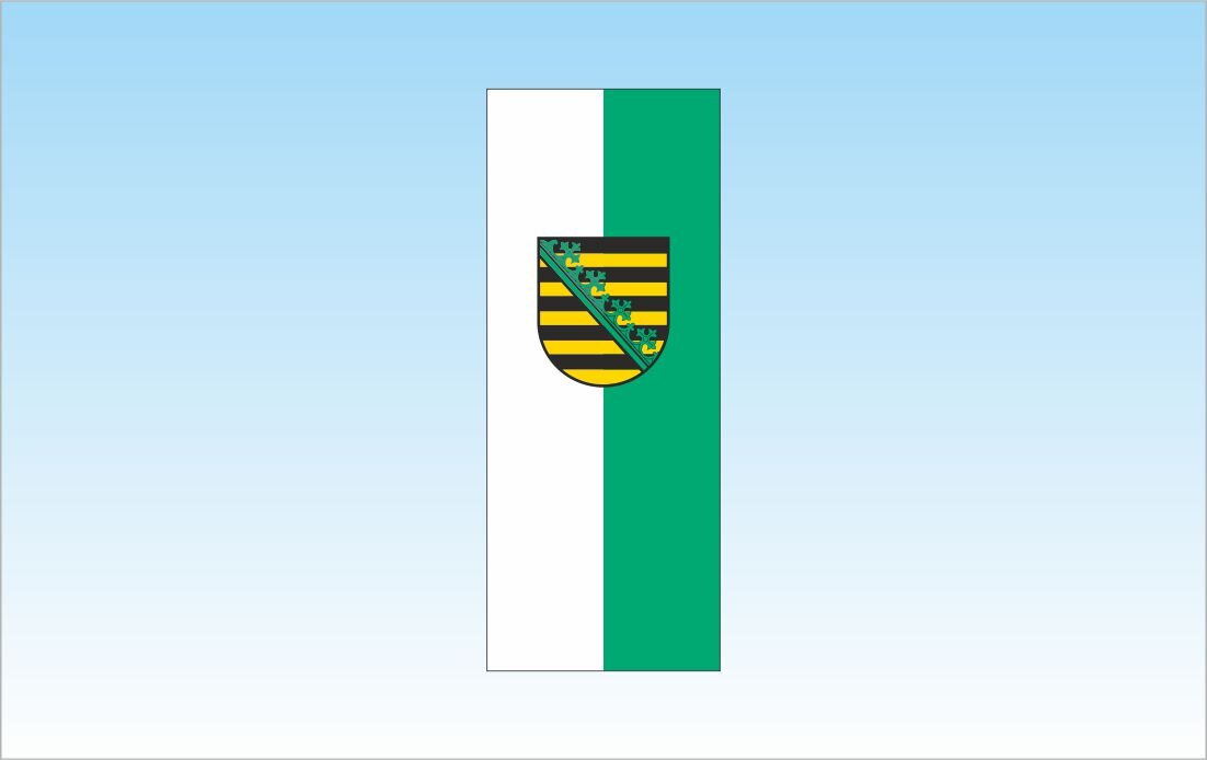 Nationalflag Saxony 120x300cm raise vertical, 57,60