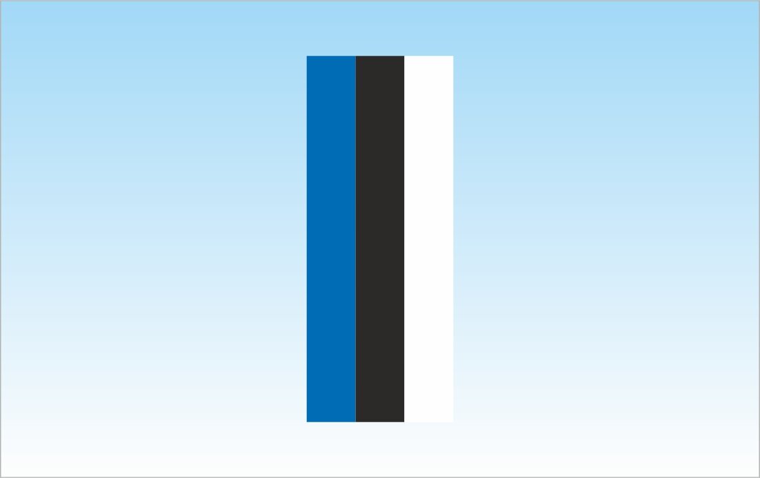Country flag National flag Hisshoch Estonia 100 x 400 cm Euroflag 115 ...