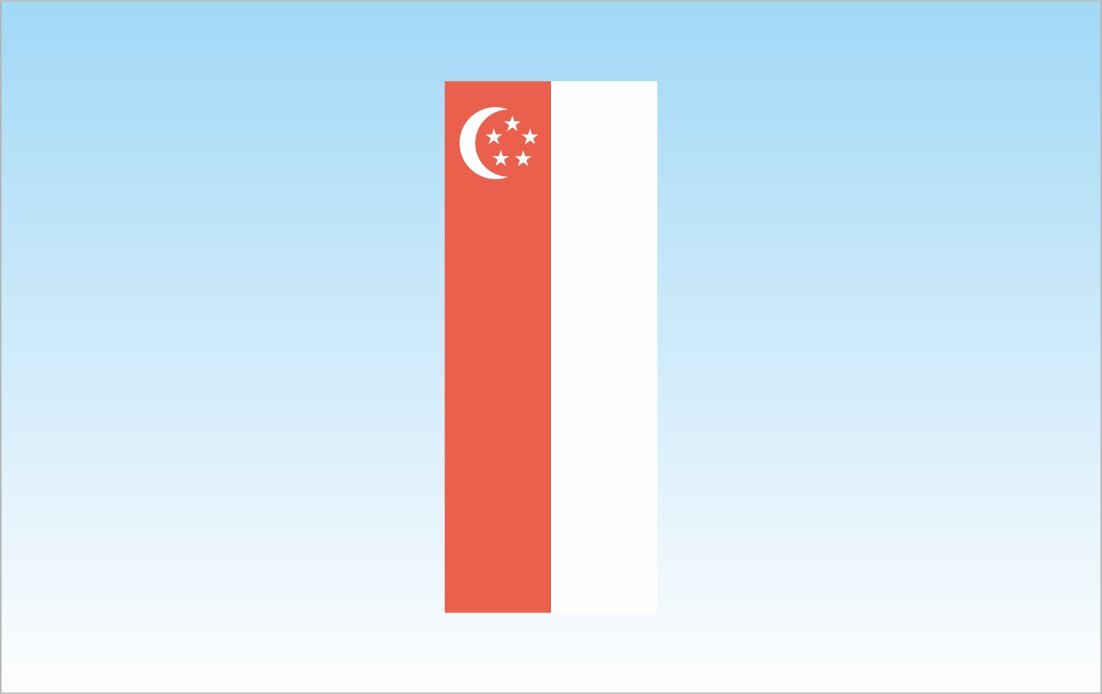 Country flag National flag Hißhoch Singapore 120 x 400 cm Euroflag 11 ...