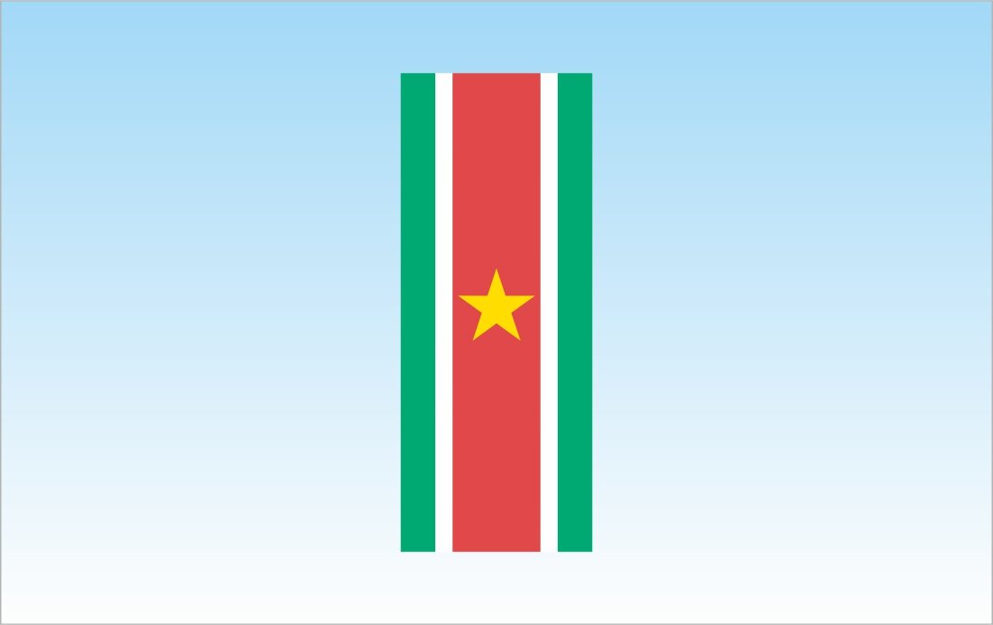 Country Flag National Flag High Suriname 120 x 400 cm Euroflag 115g/m ...
